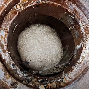 Crikey Mikey Official Store | Best Garden and Home Cleaning Products