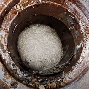 Crikey Mikey Official Store | Best Garden and Home Cleaning Products